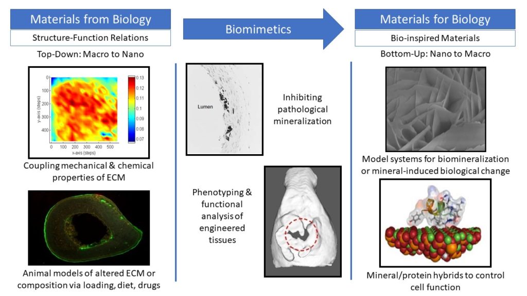 Kohn Lab – Home of the Kohn Lab
